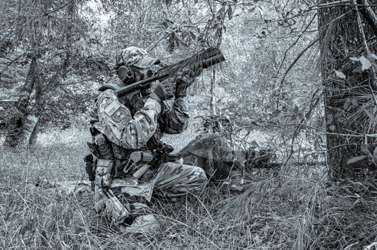 Texas State Militia: Houston – Houston Militia
